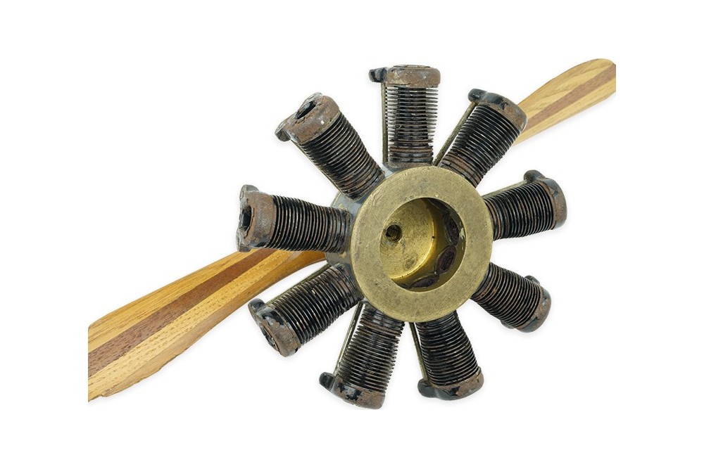 Model of a radial engine